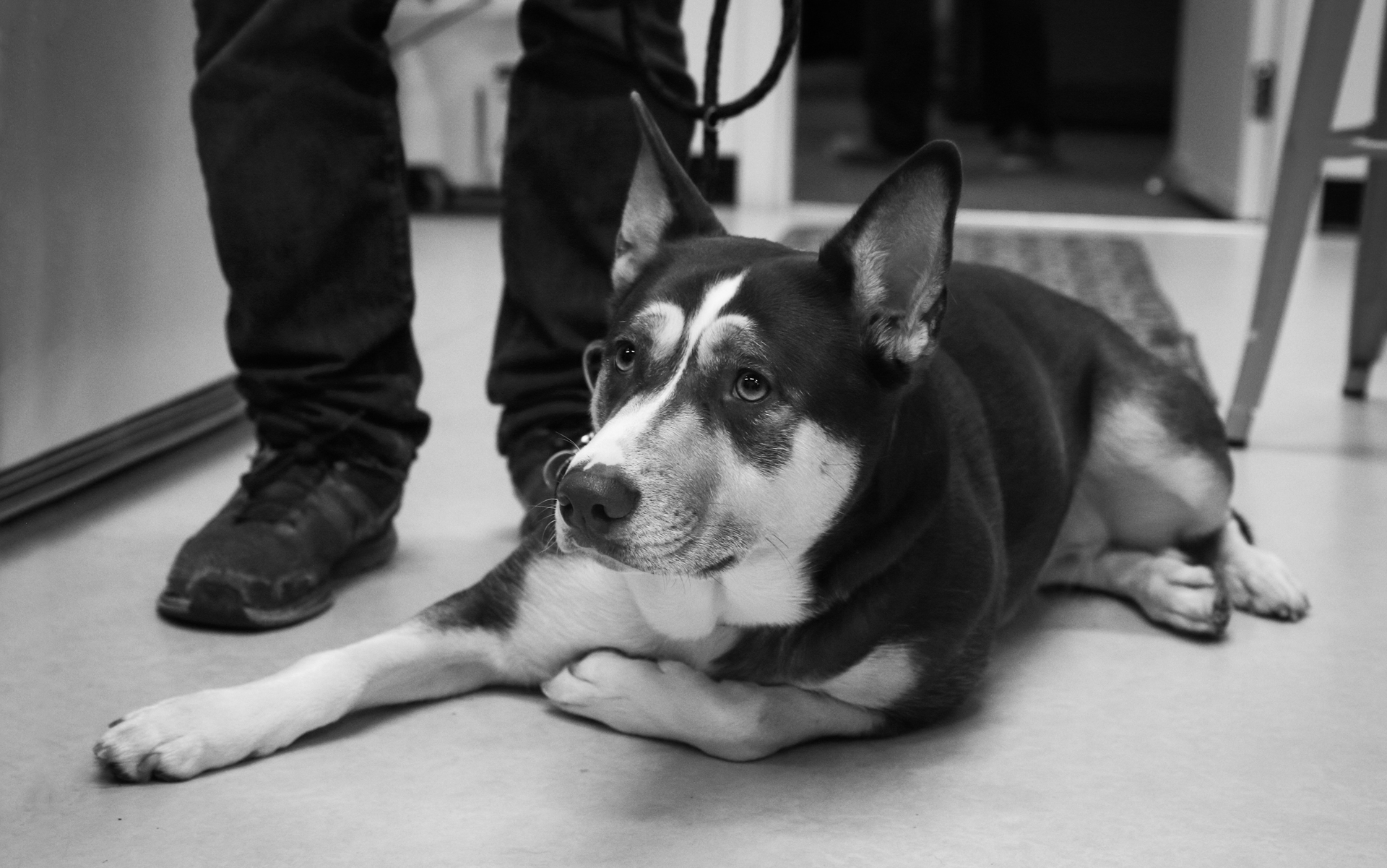 Inseparable - UW Medicine: Shortening the Distance to Healthier Lives