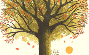 Story-Hero-The-Tree-of-Knowledge - UW Medicine: Shortening the Distance ...